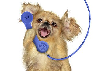 Flump! | AgeWage: Making your money work as hard as you do